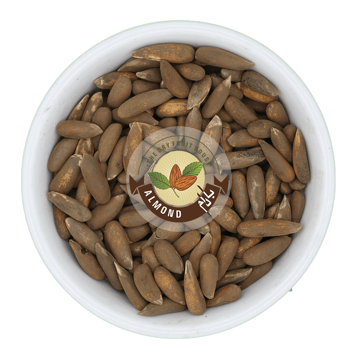 Gold Pine Nuts In Shell Ubicaciondepersonas cdmx gob mx